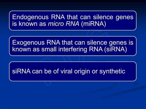 Rna Interference Ppt