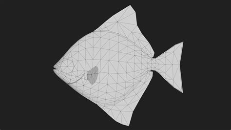 3d Model Pomfret Vr Ar Low Poly Cgtrader