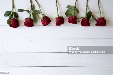 빨간 장미 배경의 테두리입니다 발렌타인 데이 결혼식 생일 및 특별한 날 개념을 위한 나무 배경에 사랑과 로맨스를 상징하는 아름다운 신선한 빨간 장미 텍스트 공간을 복사합니다