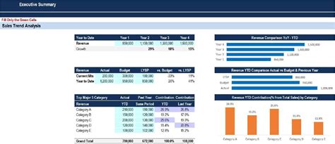 Executive Financial Summary Excel With Power Point Presentation