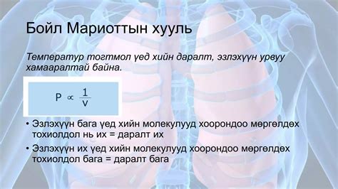 Амьсгалын эрхтэн тогтолцооны физиологи Pptx