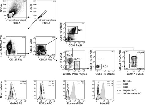 Identification Of Human Tonsil Ilcs Representative Gating Strategy Download Scientific Diagram