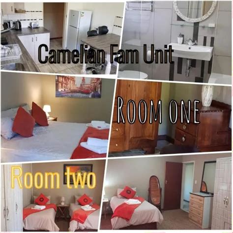 Amani Palms Guest House In Klerksdorp South Africa 20 Reviews