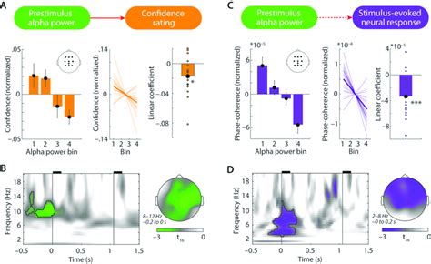 Prestimulus Alpha Power Relates To Confidence And Auditory Evoked Phase