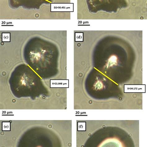 Particle Coalescence Of Pek Hp3 Particles Measurements Of The Neck Download Scientific Diagram