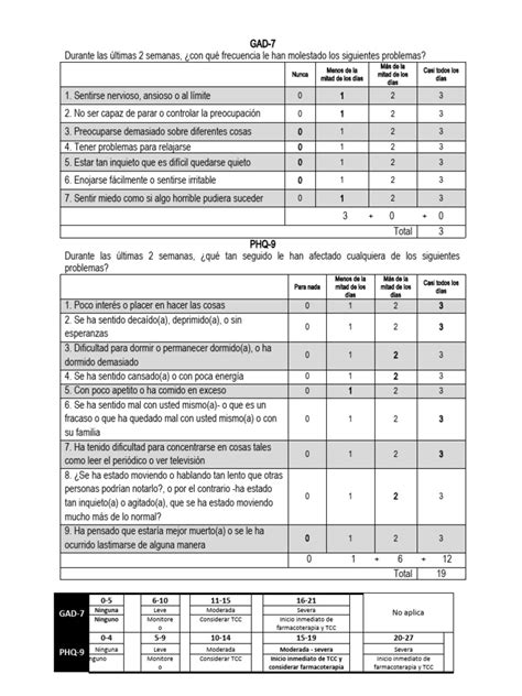 Phq Y Gad Pdf