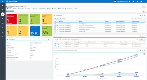 5 Reasons Keyedin Is The Ppm Software Of Choice For Strategic Pmos