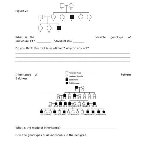Solved Objectives 1 Determine The Pattern Of Inheritance