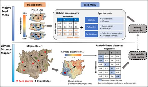 An Integrated Restoration Decision‐support Framework For The Mojave Download Scientific Diagram