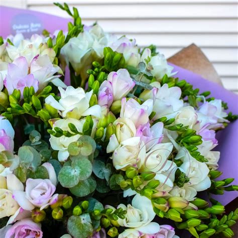 Фрезия | Букет из Фрезии | Интернет-магазин цветов dakotaflora.com