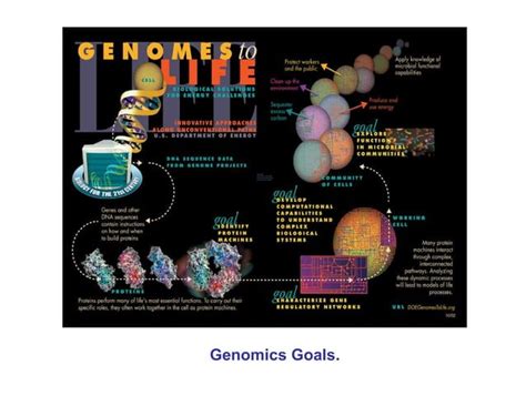 Microbial Genomics And Surveillance An Overview Snapshot For A Laymans Understanding Ppt