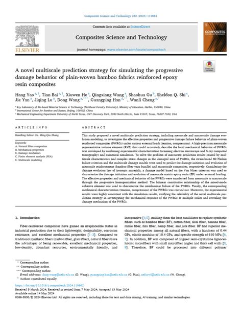 a novel multiscale prediction strategy for simulating the progressive