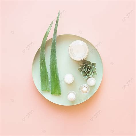 파스텔 핑크색 배경의 밝은 녹색 쟁반에 신선한 알로에 베라 잎이 있는 현대적인 보습 화장품 상위 뷰 현대적인 얼굴 스킨 케어
