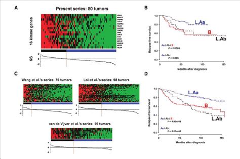 Identification And Validation Of Two Prognostic Subgroups Of Luminal A Download Scientific