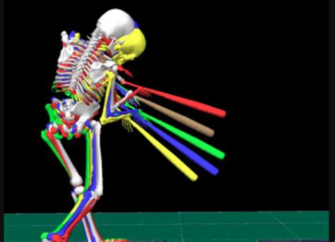 Player Development Program