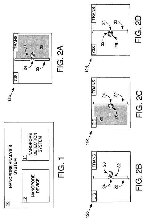 Methods And Apparatus For Characterizing Polynucleotides Eureka Patsnap