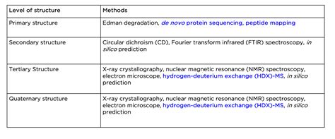 Protein Structure And How To Study It Rapid Novor