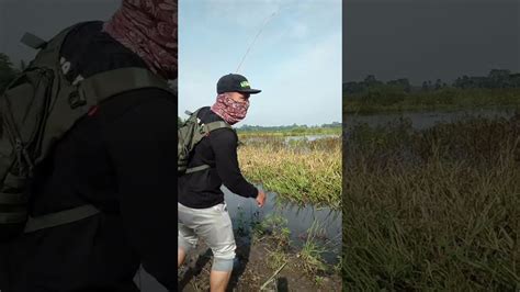 Live Mancing Bersama Keluarga Youtube