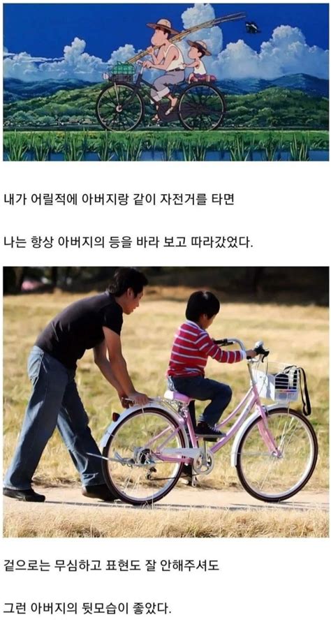 자전거와 아버지의 등 유머 움짤 이슈 에펨코리아