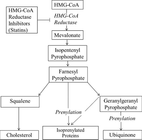 Coenzyme Q10 As Treatment For Statin Associated Muscle Symptoms—a Good