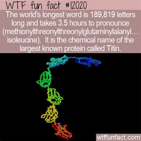 Facr The Worlds Longest Word Is 189819 Letters Long And Takes 35