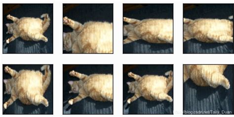 【deeplearning】深度学习上的图像增广（image Augmentation） Csdn博客