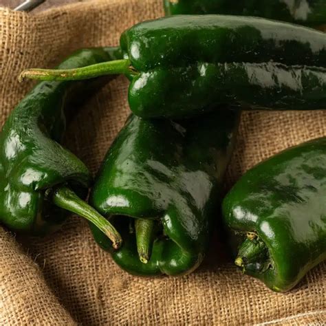 ¿cómo Distinguir Un Chile Poblano Mexicano De Uno Chino O Pirata