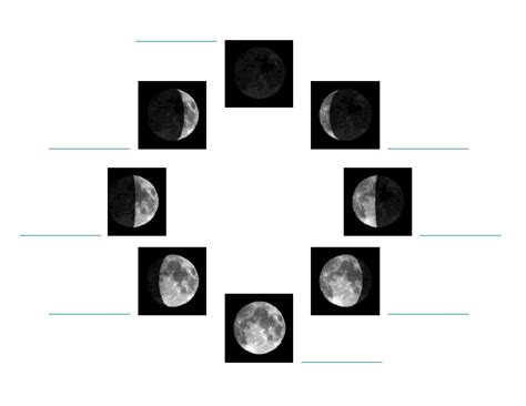 Phases Of The Moon Blank