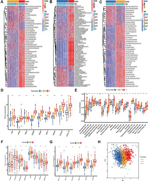 biological pathway and tumor microenvironment characteristics in