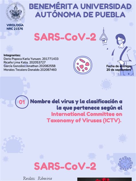 Sars Cov2 Pdf Virus Rna