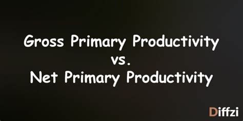 Gross Primary Productivity Vs Net Primary Productivity Diffzi