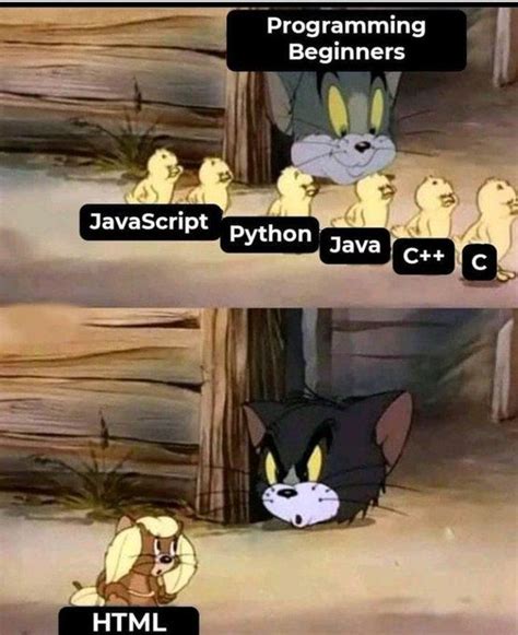 Sham Gurav On Linkedin Programming Javascript Memeoftheday Meme