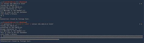 Bufferoverflow Lab 3 Panel App Linux Vk9 Security