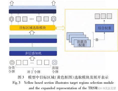 vit细粒度图像分类（三）trs deit 学习笔记 基于知识蒸馏与目标区域选取的细粒度图像分类方法 csdn博客