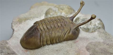 How We Discovered That An Asteroid Collision In Space 466m Years Ago