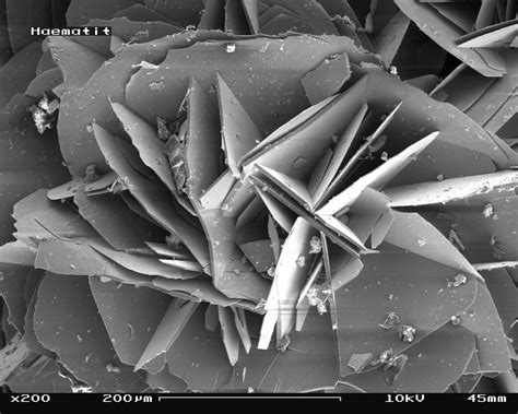 Hematite In Scanning Electron Microscope