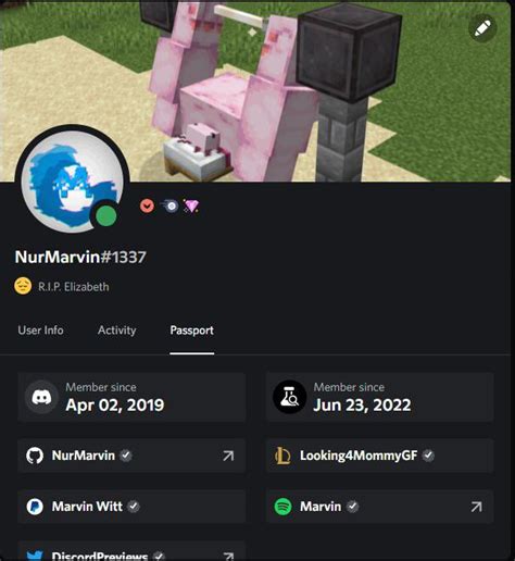 Discord Passport Preview Rdiscordapp