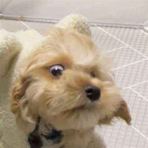 임채린 Cherry N • Threads Say More