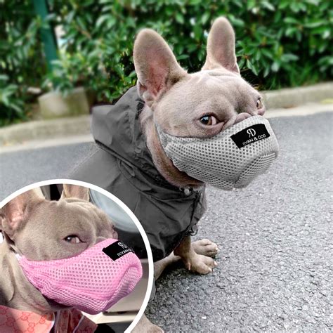 Anti Bark Dog Muzzle Mesh Breathable Cat Muzzle Comfortable Pet Safety