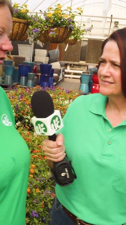 Tlc Live Lantana Hanging Baskets And Patio Pots Youtube