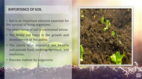 Biological Properties Of Soil And Biodiversity PPTX