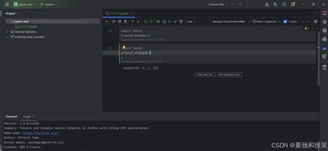 新所得库-PyCharm中使用Jupyter+安装PyTorch全过程记录_pycharm jupyter-CSDN博客