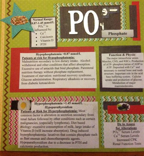 Phosphate Normal Range Mmoll Ryan Knox