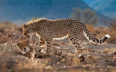 Samara Karoo Reserve