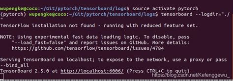 【深度学习 Pytorch 番外篇】如何使用tensorboard可视化pytorch训练结果可视化训练结果 Csdn博客