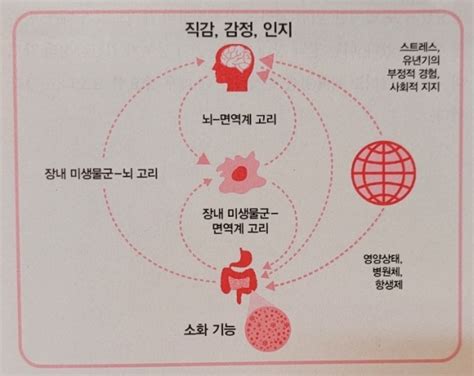 식단과 영양 상태가 장내 미생물 군집과 면역 시스템에 미치는 영향 이해하는 것이 중요