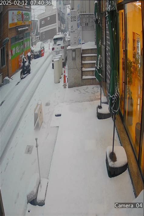 그만 그만 진짜 그만좀 와라 ㅠㅠ 자영업자들 안그래도 힘든데 또 눈이 눈치도 없게 또 오니 넌 휴무 없냐 자영업자이야기