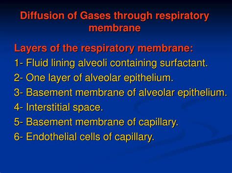 PPT Exchange Of Gases In The Lungs PowerPoint Presentation Free Download ID