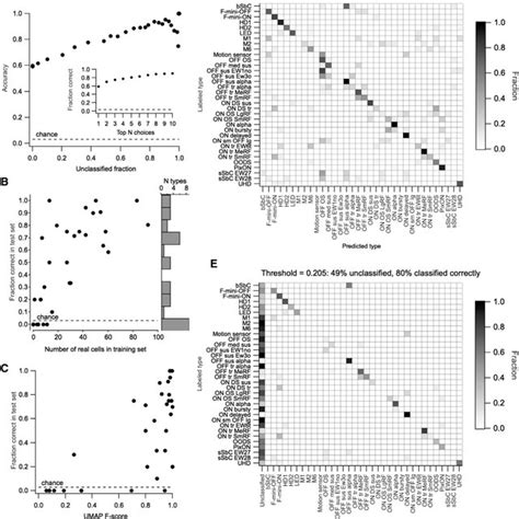 Functional Classification From Spot Responses A Overall Model Download Scientific Diagram