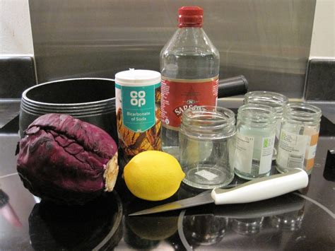 Red Cabbage Indicator A Tang Of Science